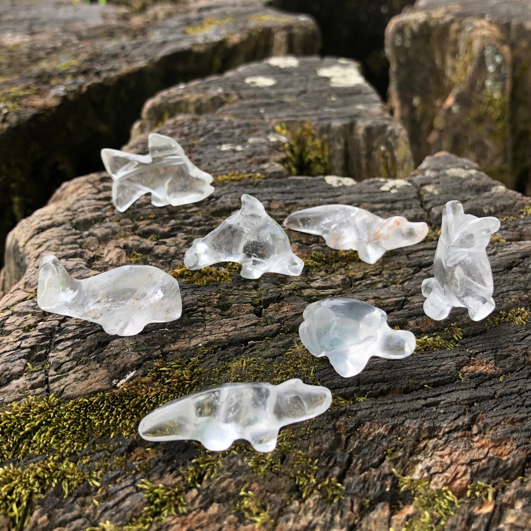TINY Clear Quartz Crystal Animals From Brazil! | ONE Mini Animal ...