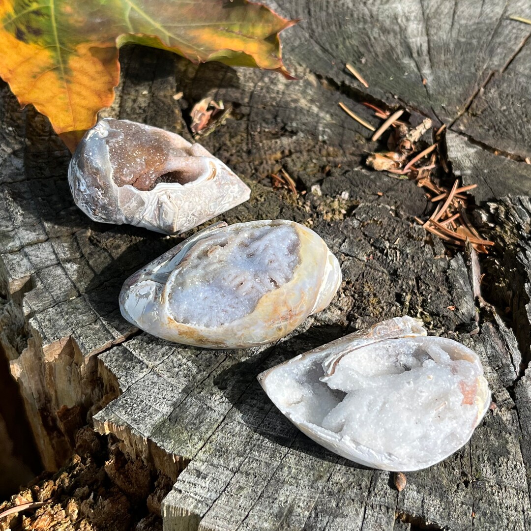 Beautiful Spiralite Fossil Shell From India | Sparkly, Druzy Quartz ...