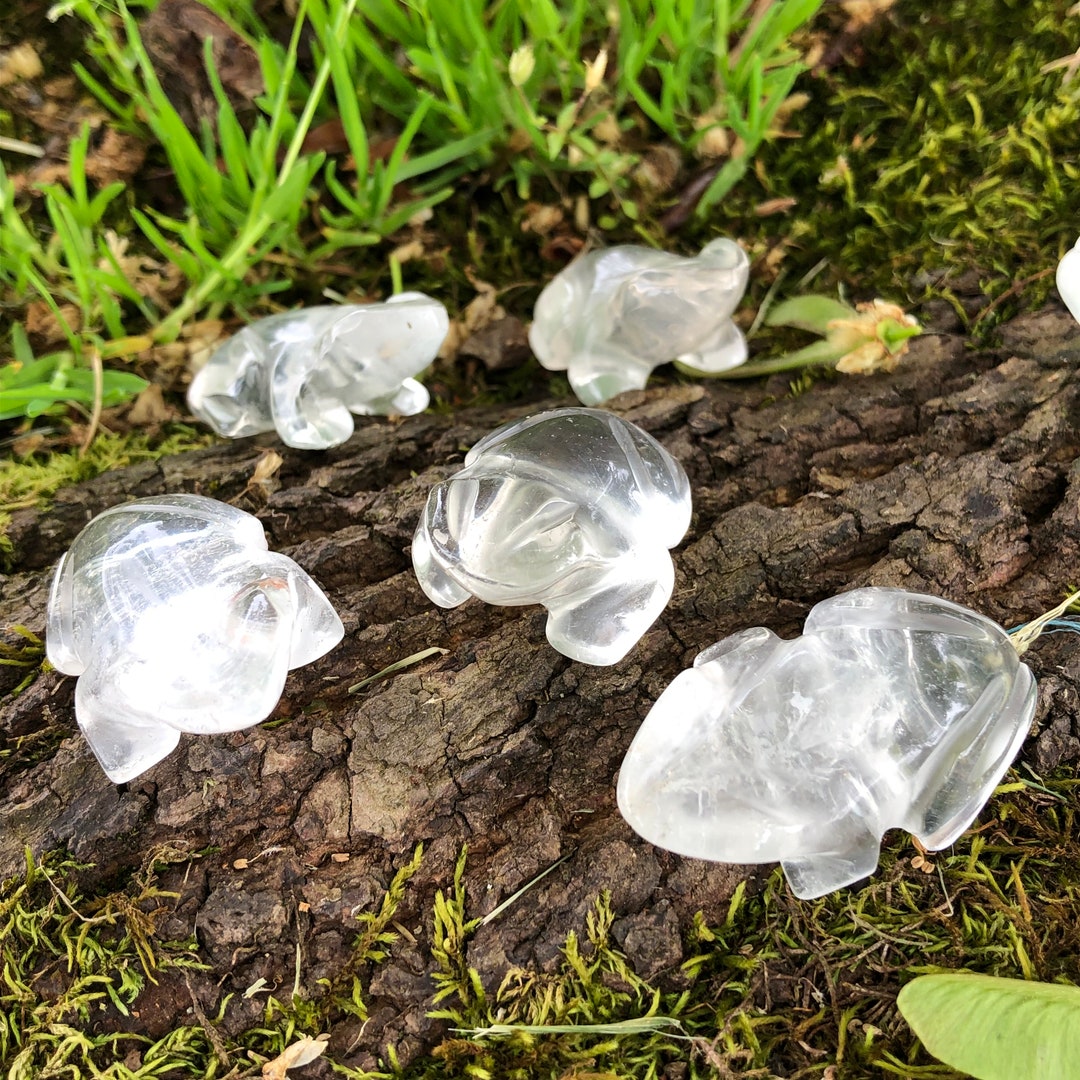 ONE Mini Clear Quartz Crystal Frog Carving From Brazil! | 5 Sizes, Mini ...