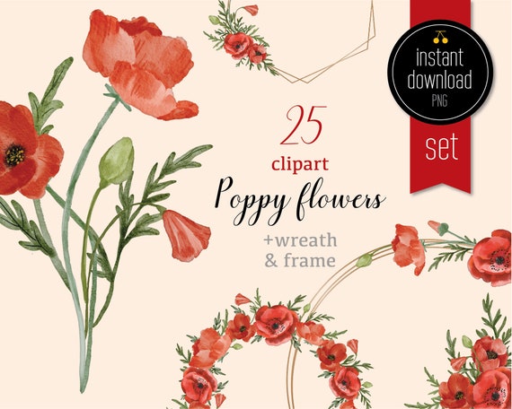 Poppy Flower Watercolor Clipart Set Floral Wreath Poppy - Etsy