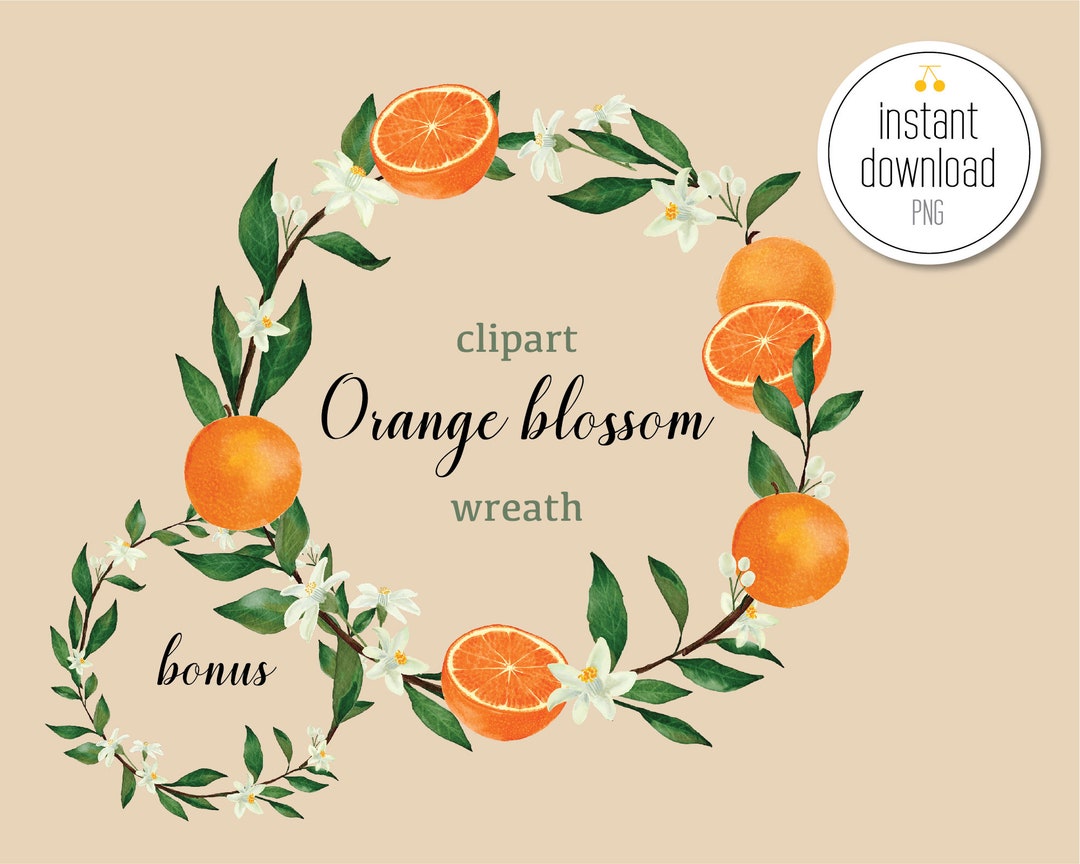 Orange Botanical Wreath Clipart | Mandarine Blossom - Watercolor ...