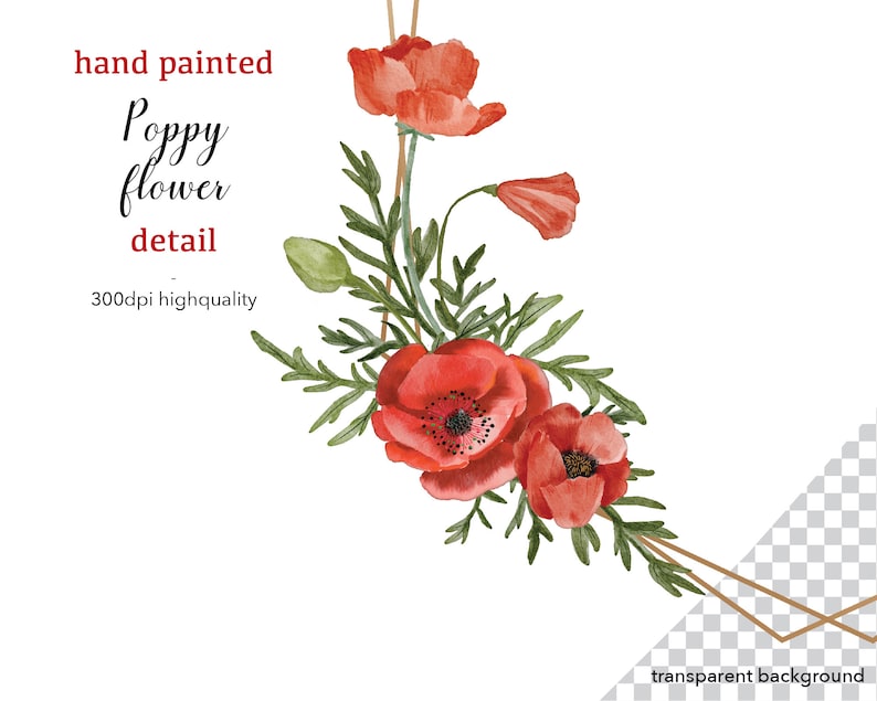 Poppy Flower Watercolor Clipart Set Floral Wreath Poppy - Etsy