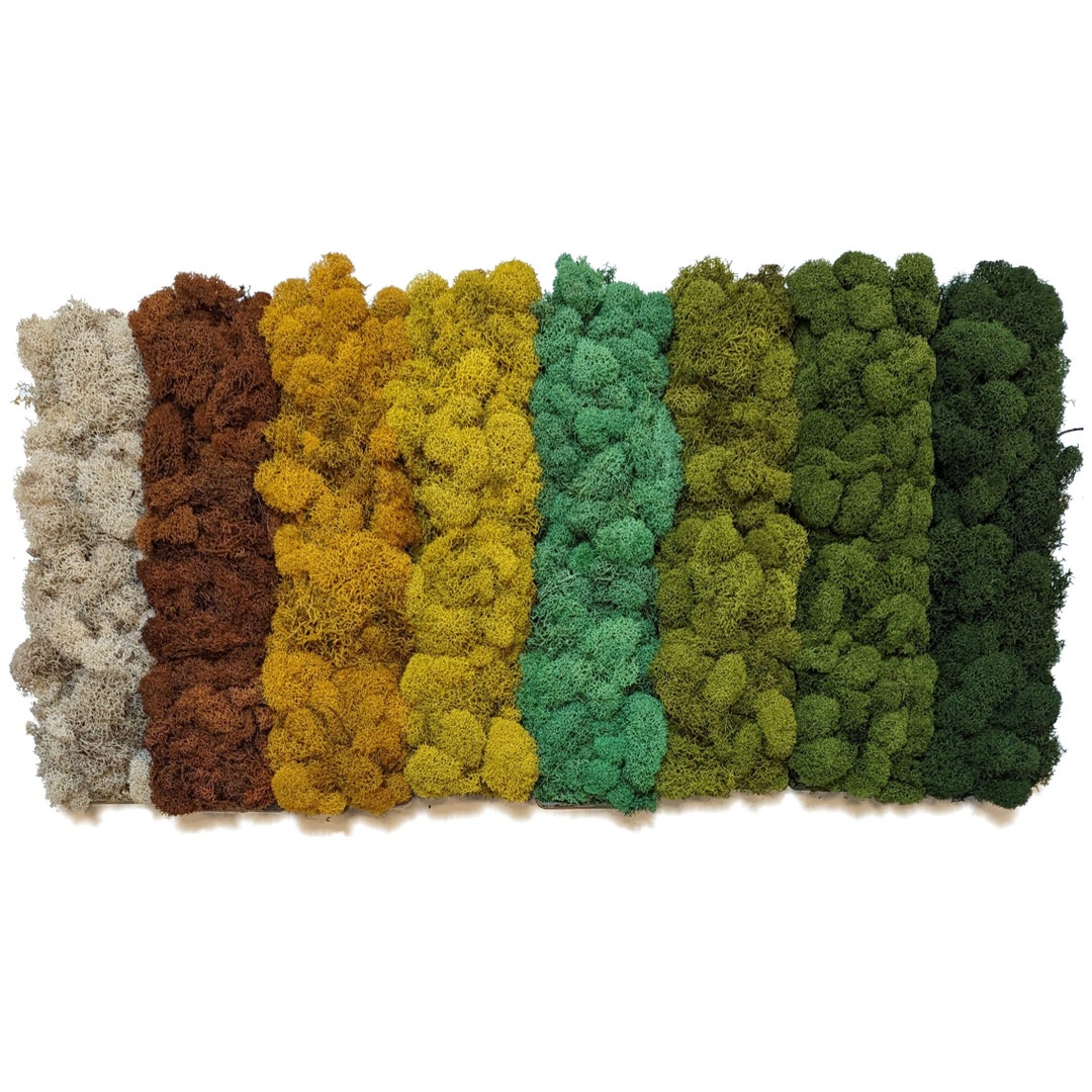 Moss Blocks Natural Wall Art Design Building Peel and Stick Strips - Etsy