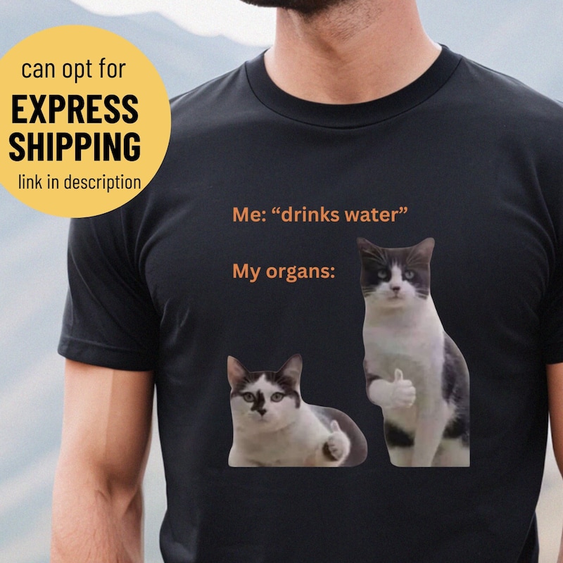 Mens Meme Shirts - Etsy