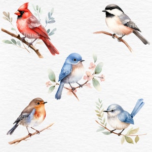 Watercolor Cute Birds Clipart - Birds Cliparts Bundle, Tiny Birds ...