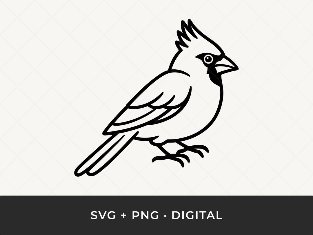 Cardinal SVG: Bird Outline Cut File for Cricut - Etsy