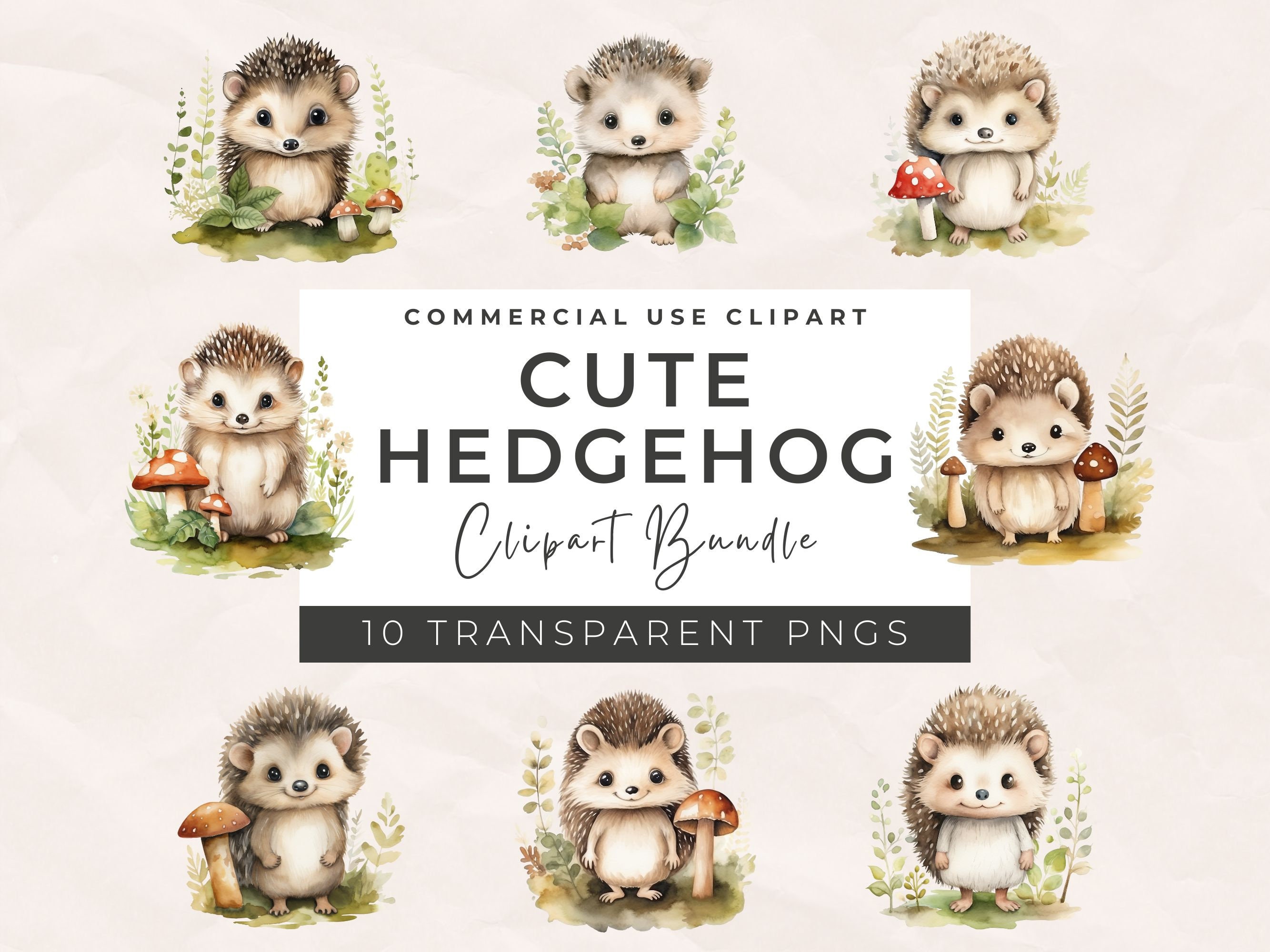 Watercolor Hedgehog Clipart – Animal PNG Graphics, Commercial Use ...