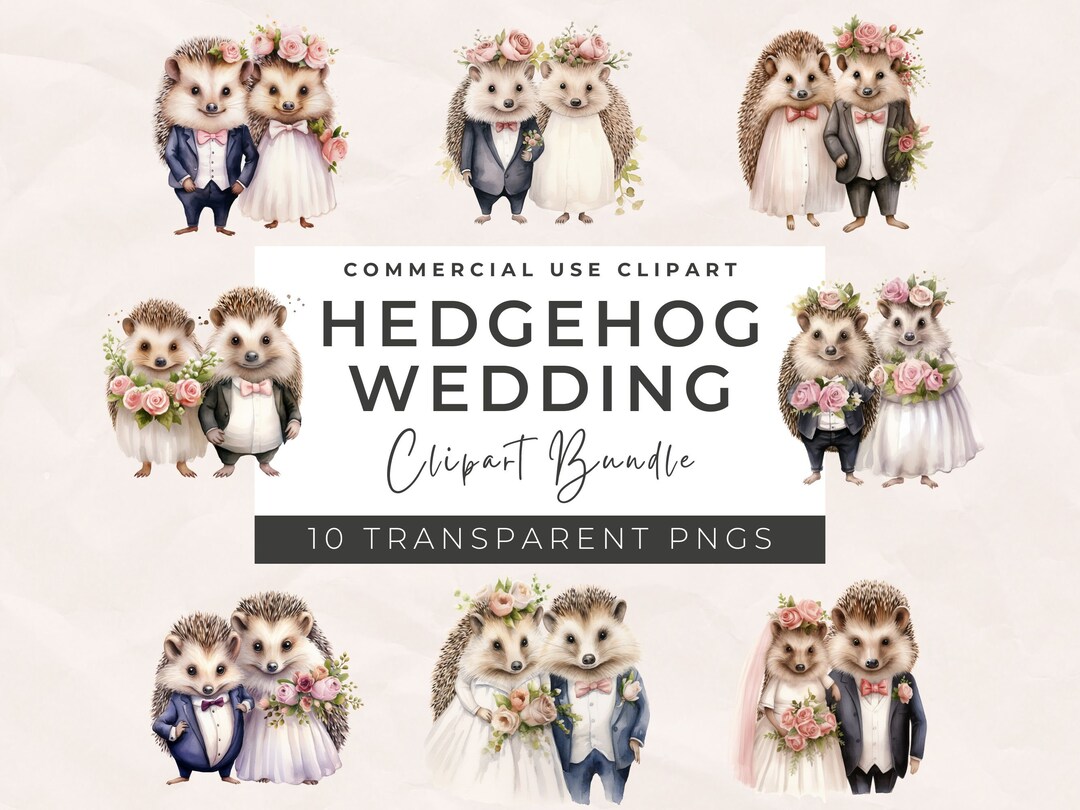 Cute Hedgehog Wedding Clipart, Cute Hedgehog PNG, High Quality Png's ...