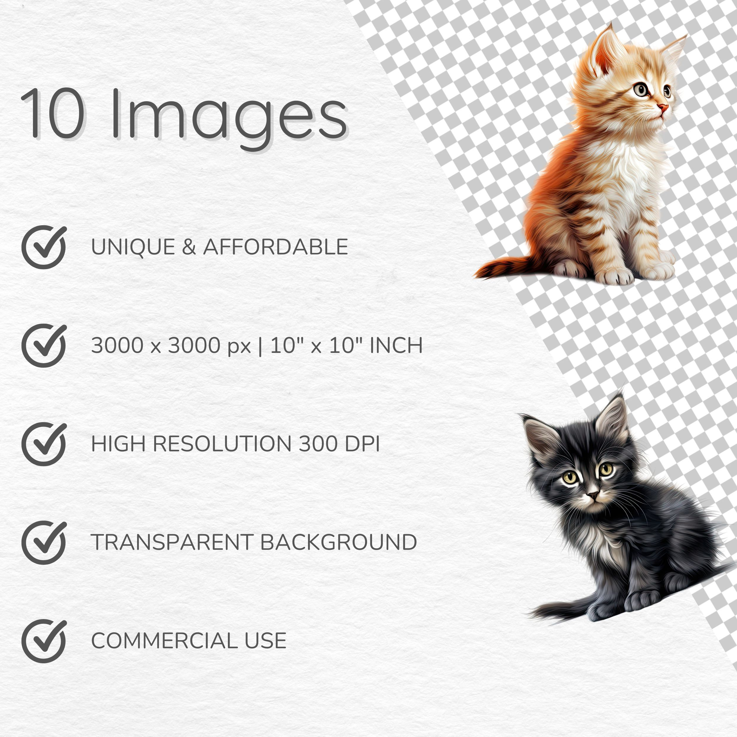Cute Kitten Clipart Bundle – Transparent PNG Graphics - Etsy
