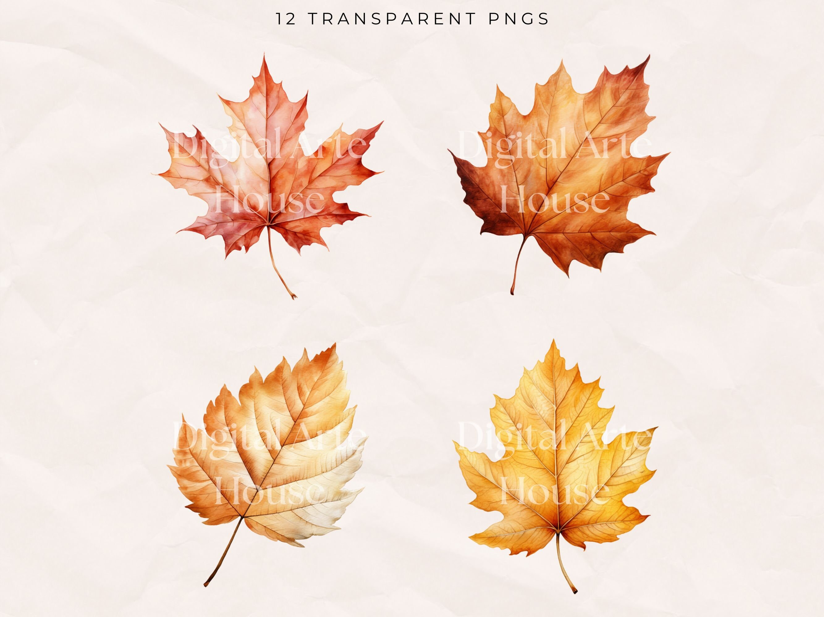 Watercolor Fall Leaves Clipart Bundle Autumn Leaves Clipart - Etsy