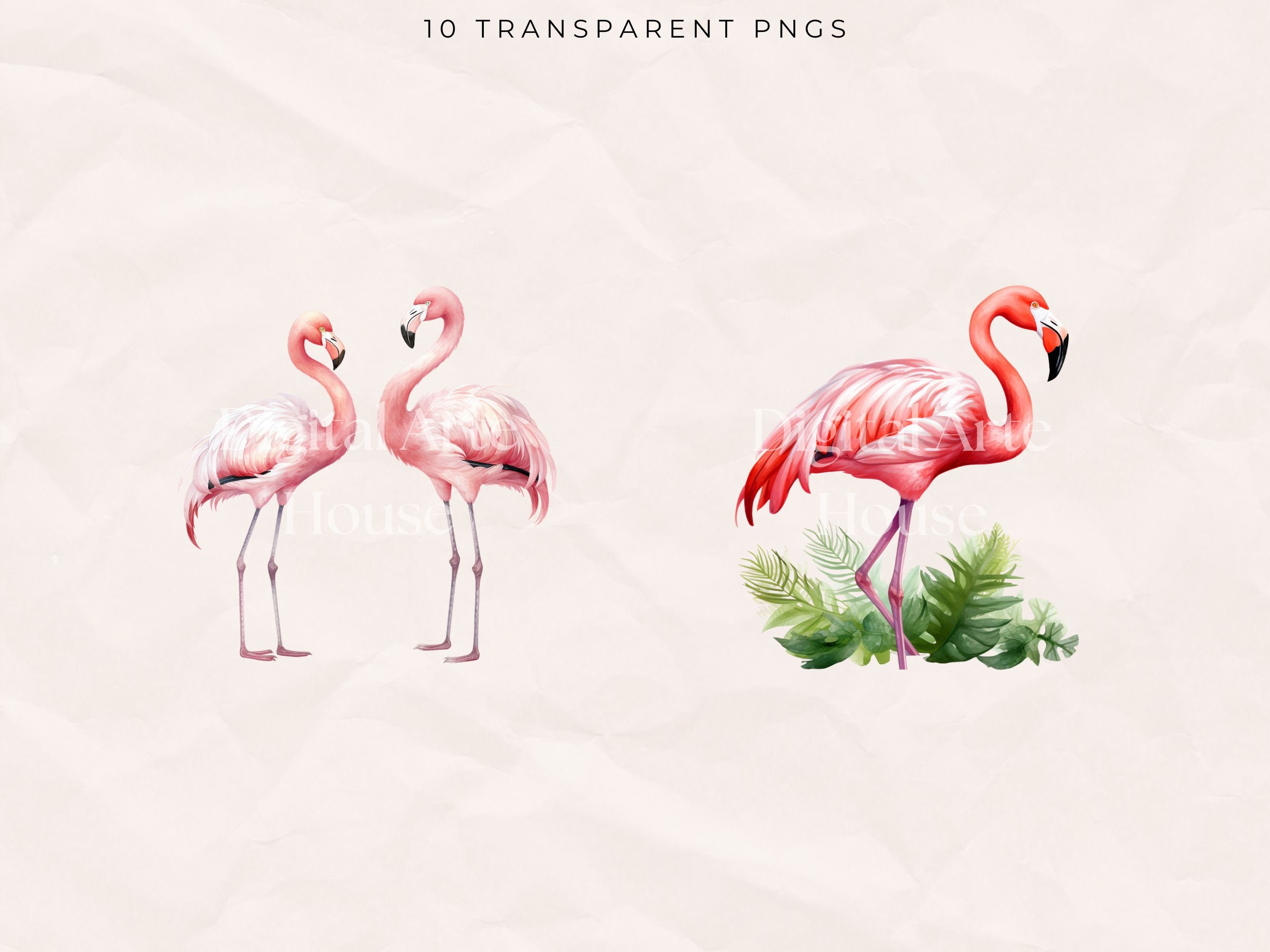 Flamingo Clipart Watercolor Flamingo PNG Flamingo Wallart - Etsy