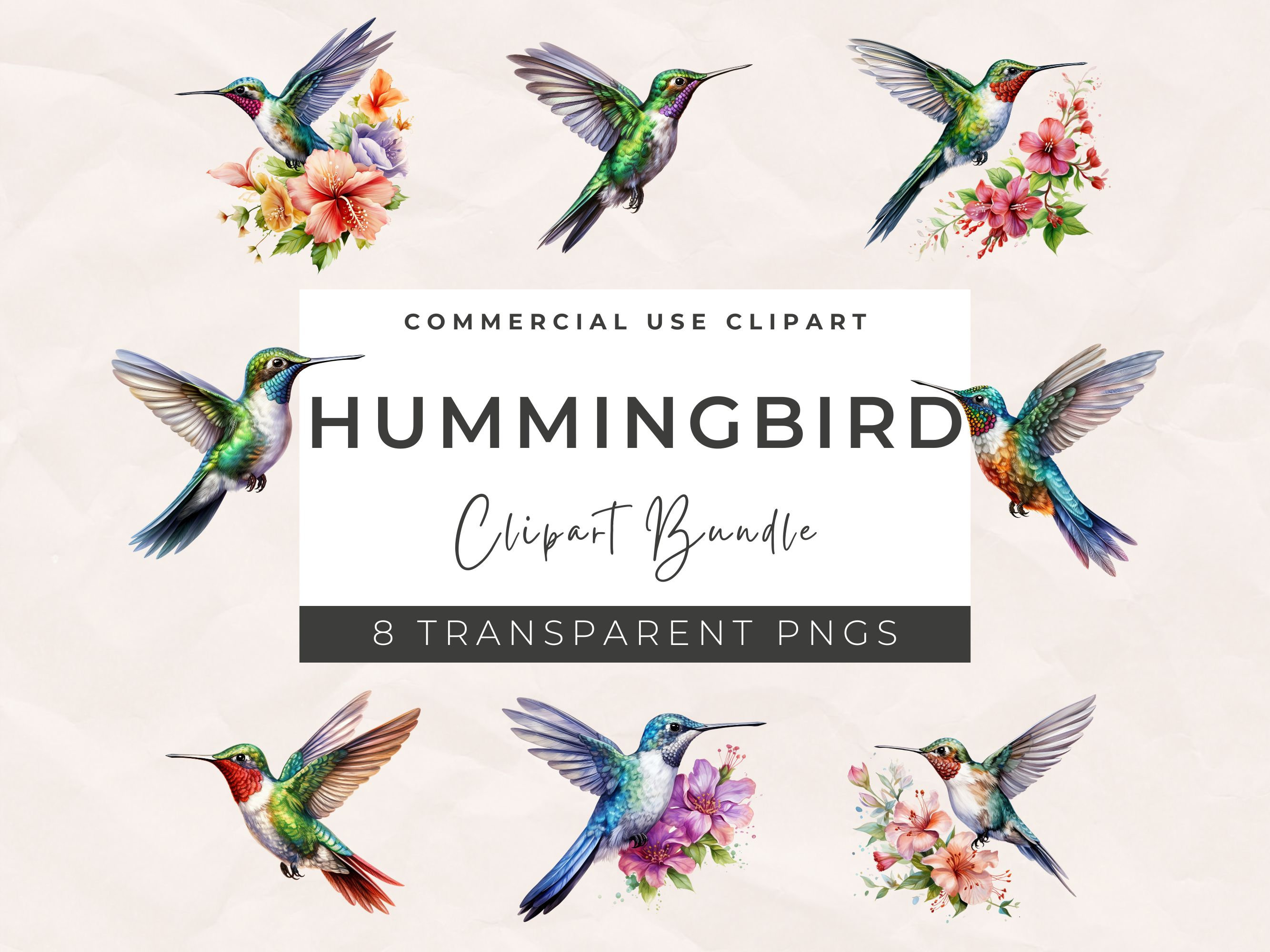 Watercolor Hummingbird Clipart: Bird PNG Bundle, Nursery Decor (digital ...