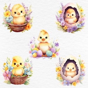 Watercolor Easter Chick Clipart: PNG Graphic Set (commercial Use) - Etsy