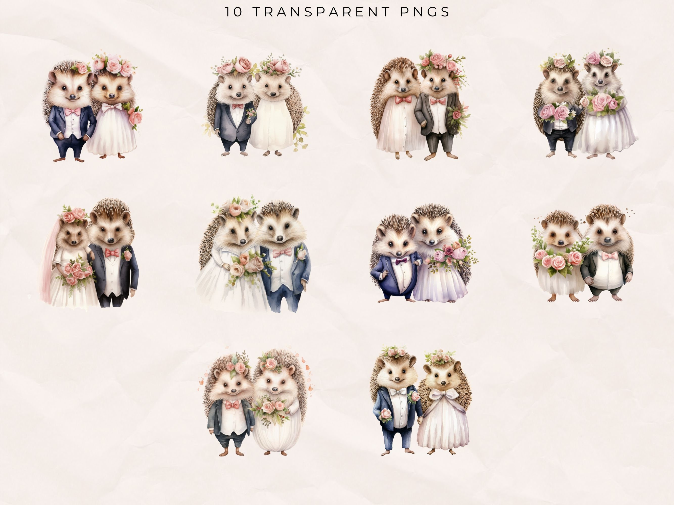 Cute Hedgehog Wedding Clipart Cute Hedgehog PNG High Quality - Etsy