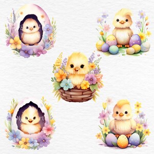 Watercolor Easter Chick Clipart: PNG Graphic Set (commercial Use) - Etsy