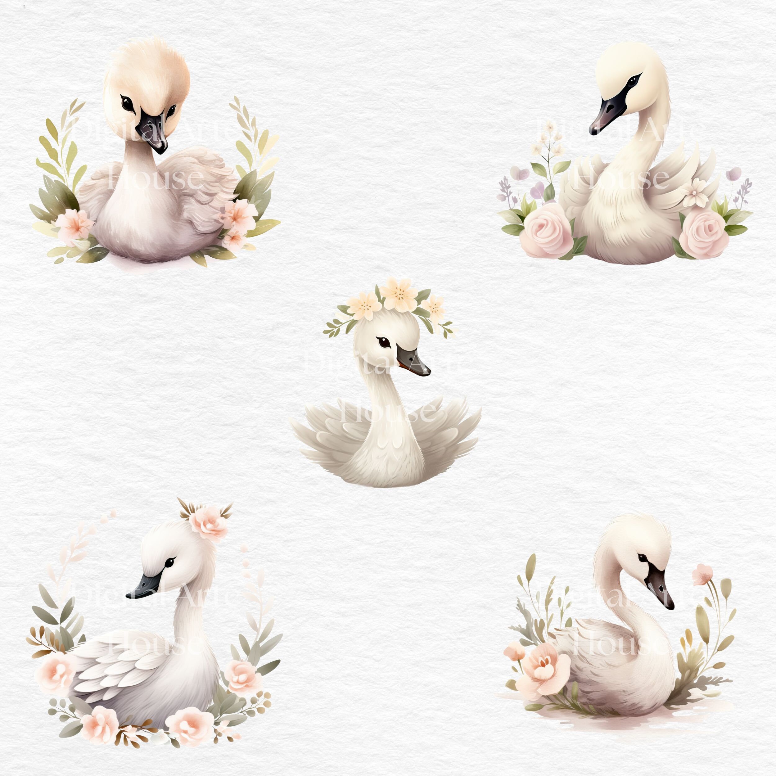 Watercolor Baby Swan Clipart: Floral Swan PNG (commercial Use) - Etsy