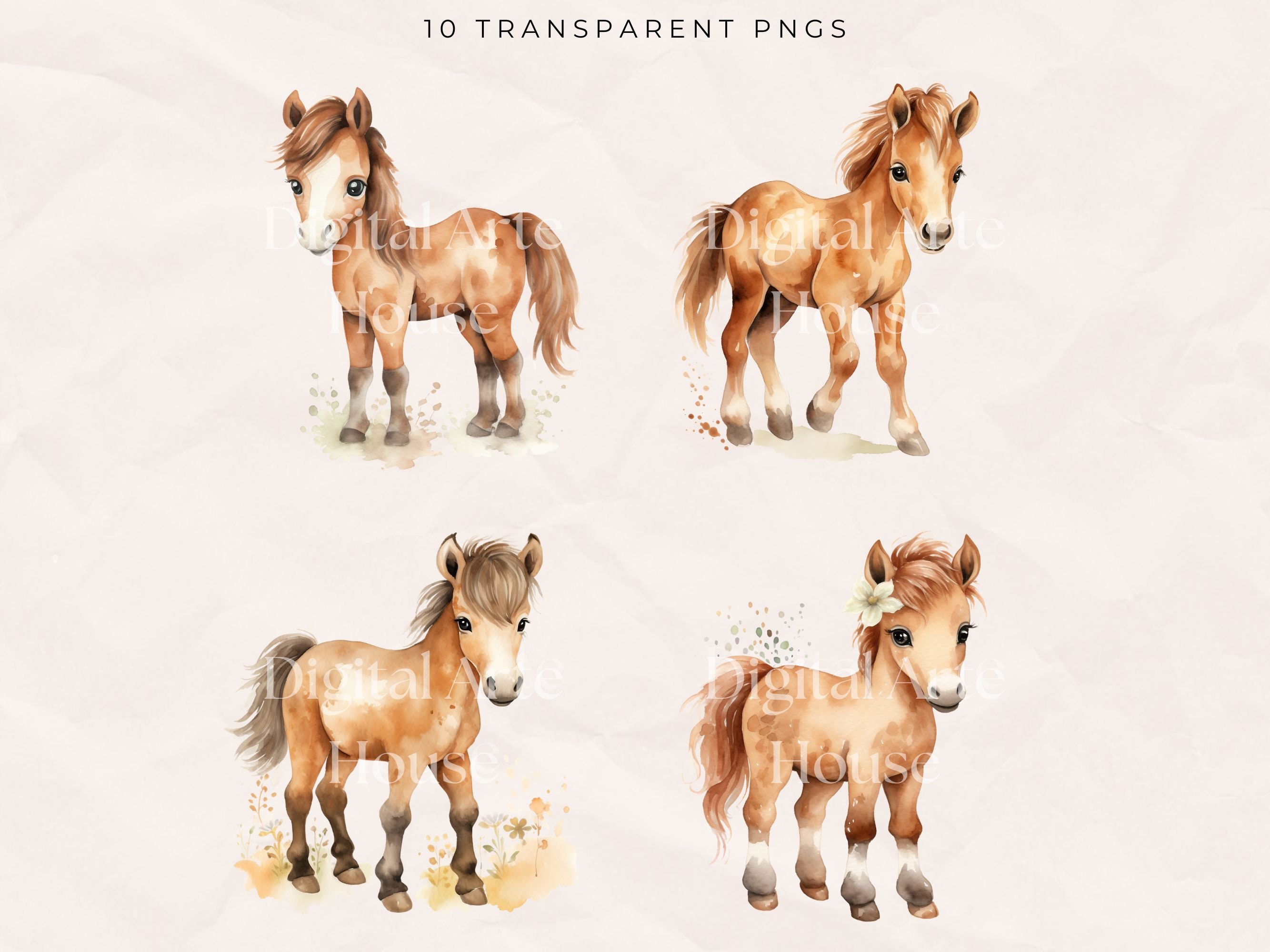 Watercolor Baby Horse Clipart: Farm Animal PNG Bundle - Etsy