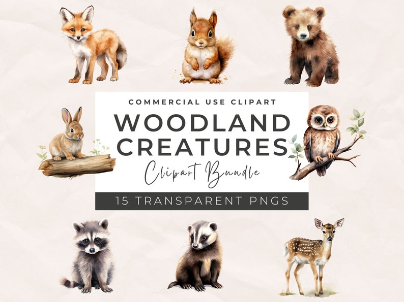 Watercolor Woodland Animals Clipart, Commercial Use, Transparent Pngs ...