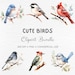 Watercolor Cute Birds Clipart - Birds Cliparts Bundle, Tiny Birds ...