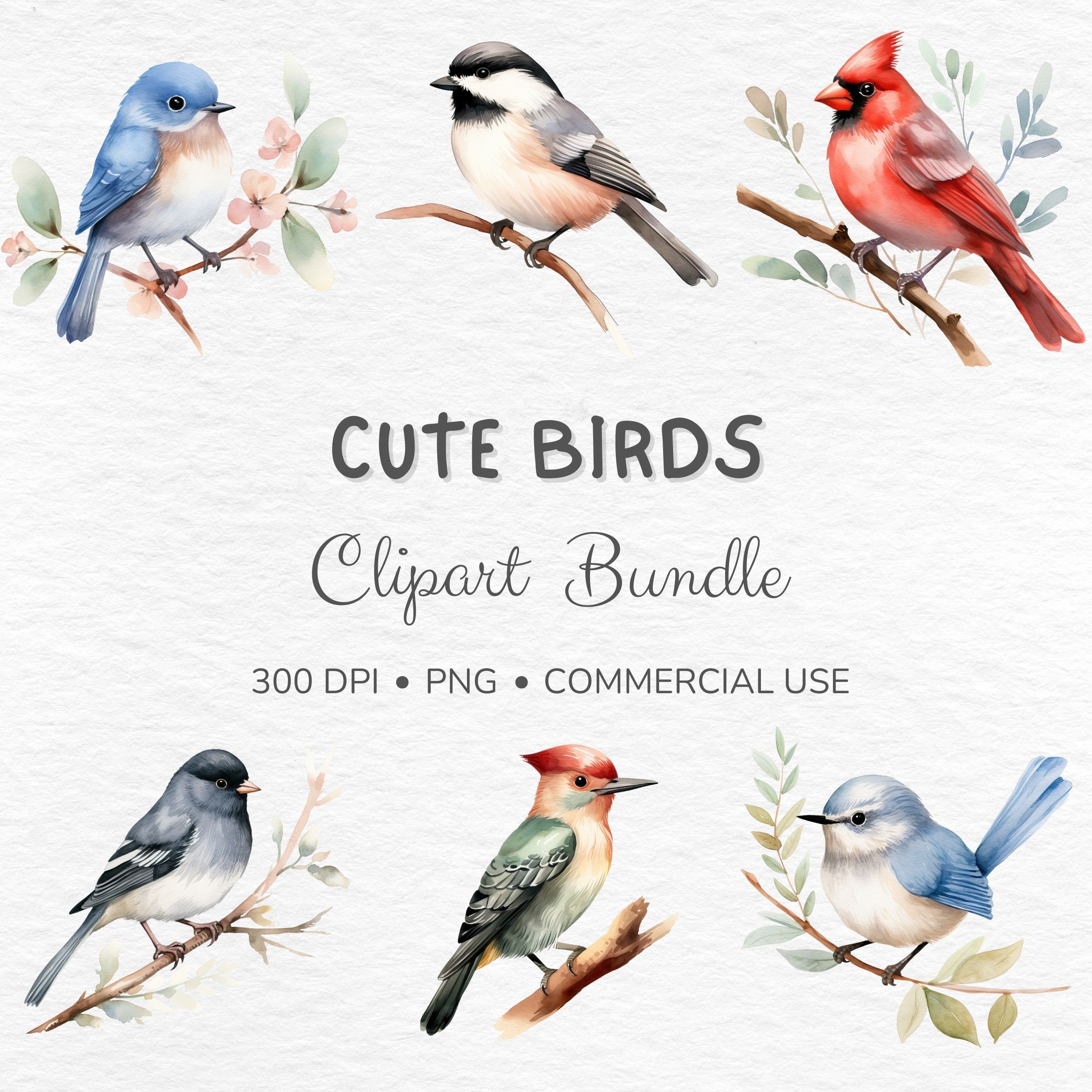 Watercolor Cute Birds Clipart Birds Cliparts Bundle, Tiny Birds Clipart ...