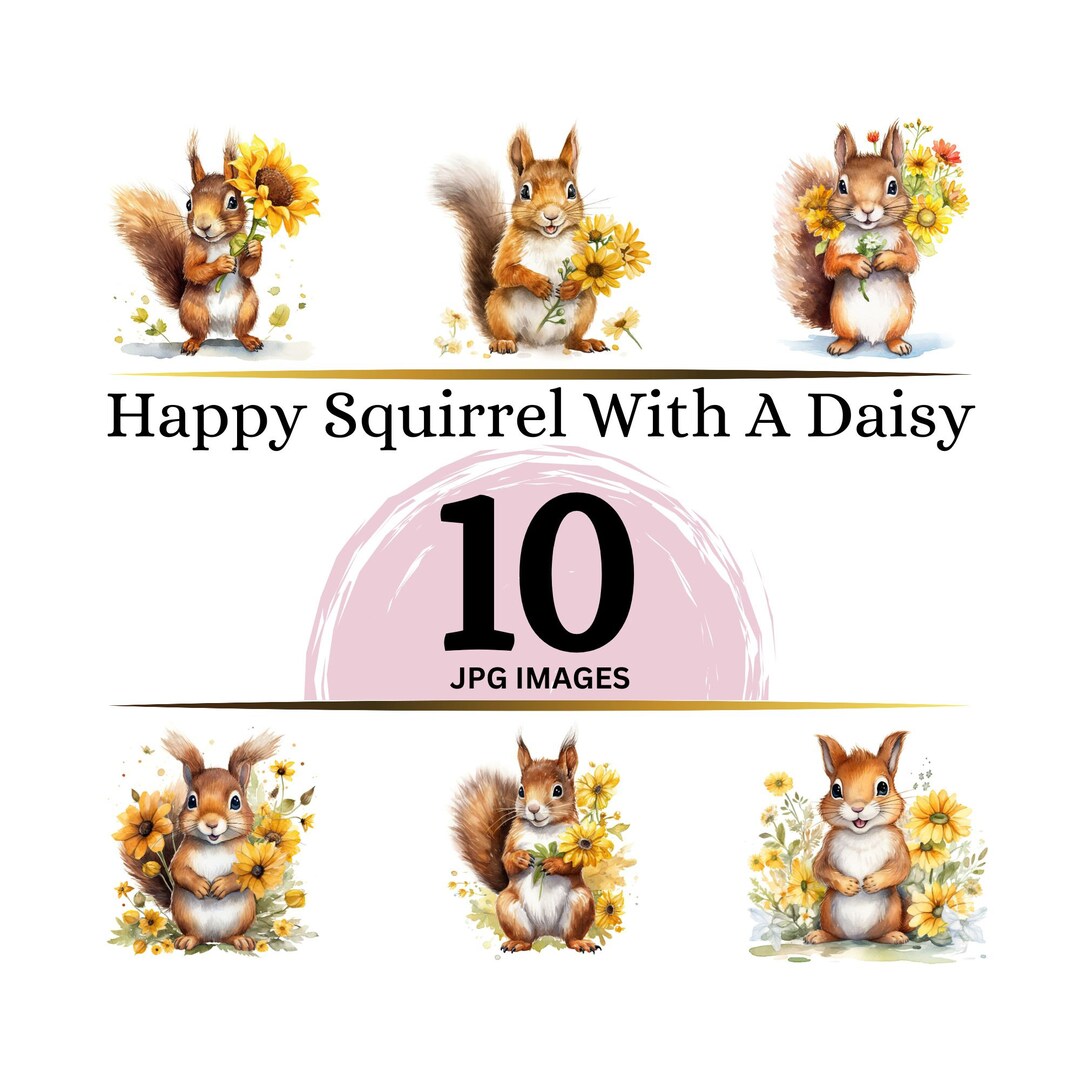 Squirrel With Daisy Clipart: Watercolor JPG Images (digital Download ...