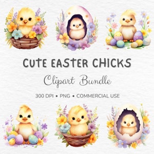 Watercolor Easter Chick Clipart: PNG Graphic Set (commercial Use) - Etsy