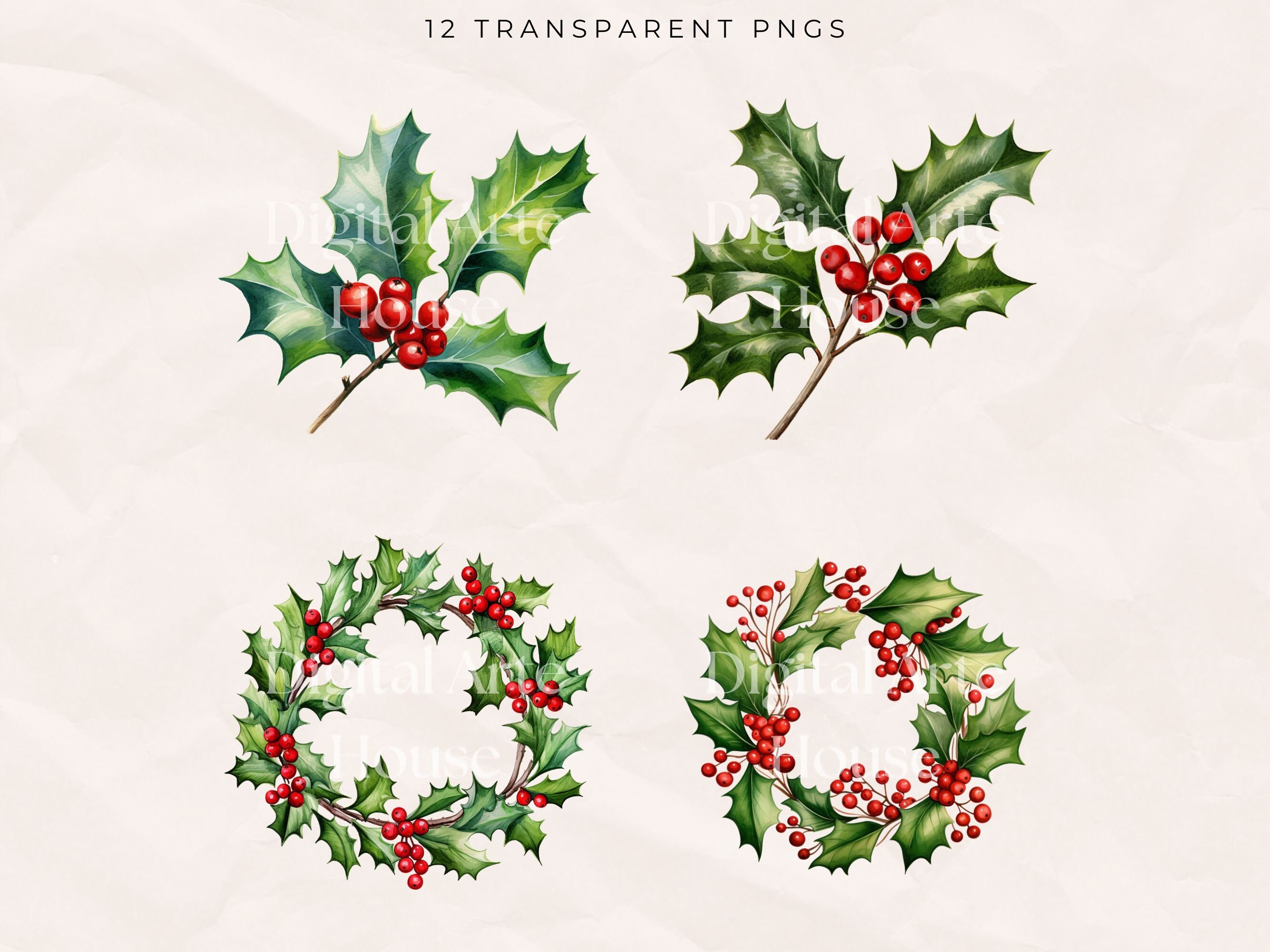 Watercolor Christmas Holly Clipart: PNG Botanical Bundle (commercial ...