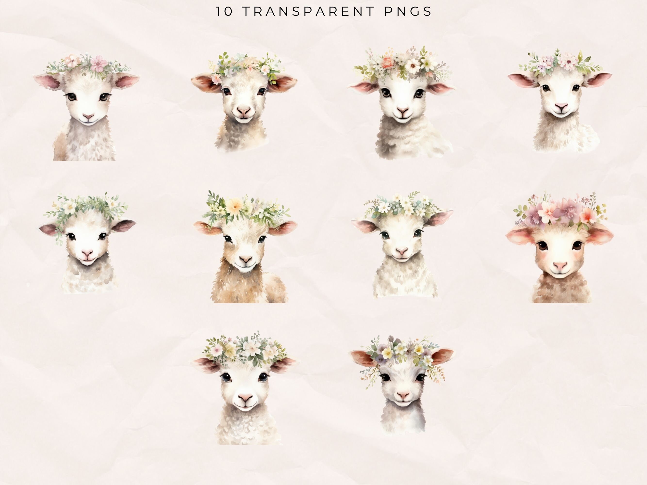 Watercolor Cute Floral Lambs Clipart Bundle Lamb Clipart, Digital ...