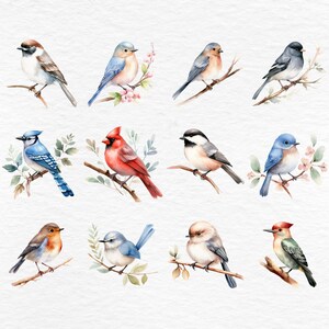 Watercolor Cute Birds Clipart - Birds Cliparts Bundle, Tiny Birds ...