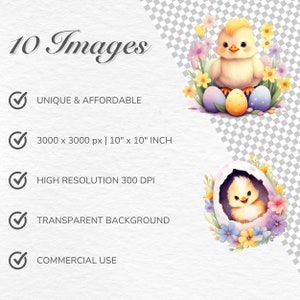 Watercolor Easter Chick Clipart: PNG Graphic Set (commercial Use) - Etsy