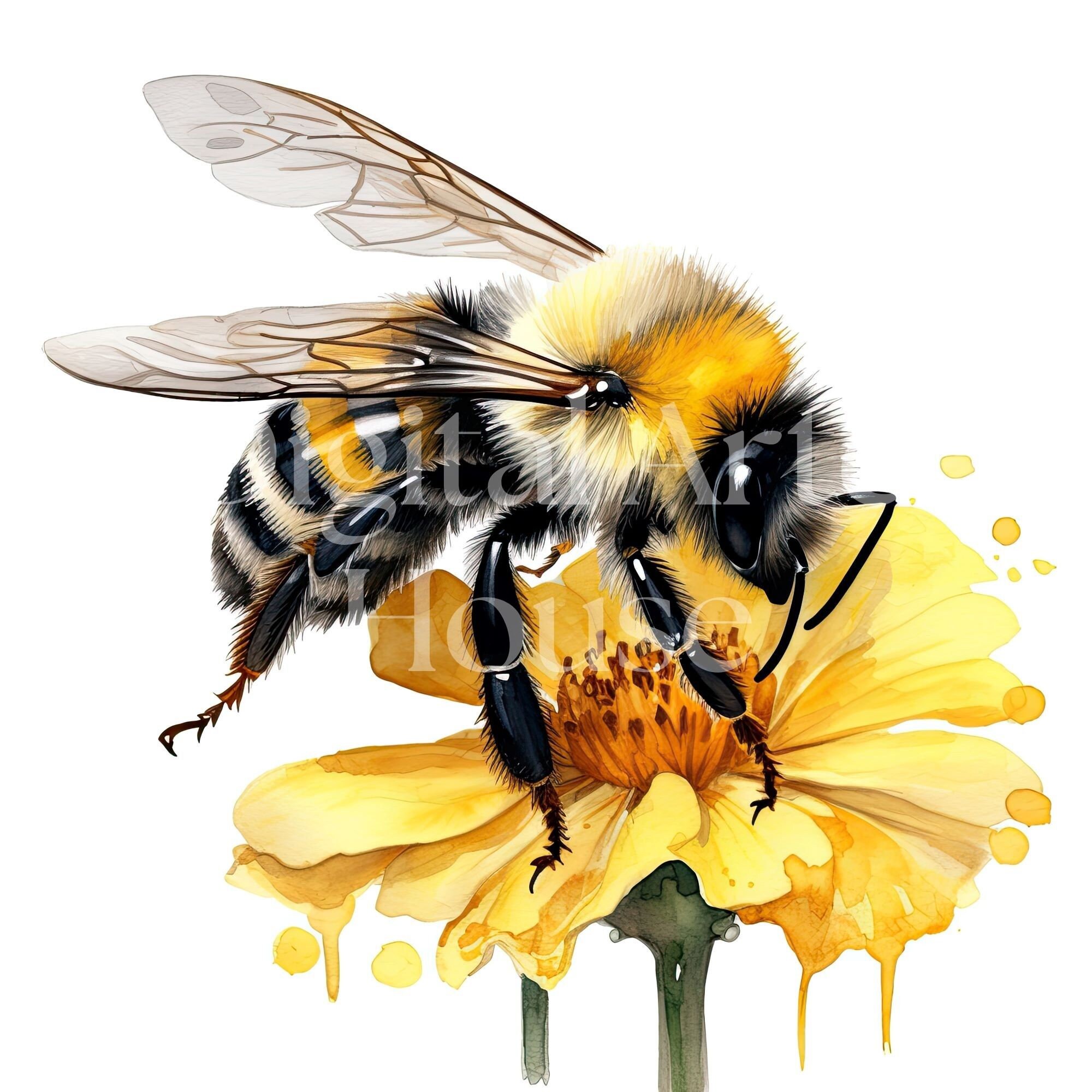 Bumblebee Clipart 10 High Quality Jpgs Digital Download - Etsy