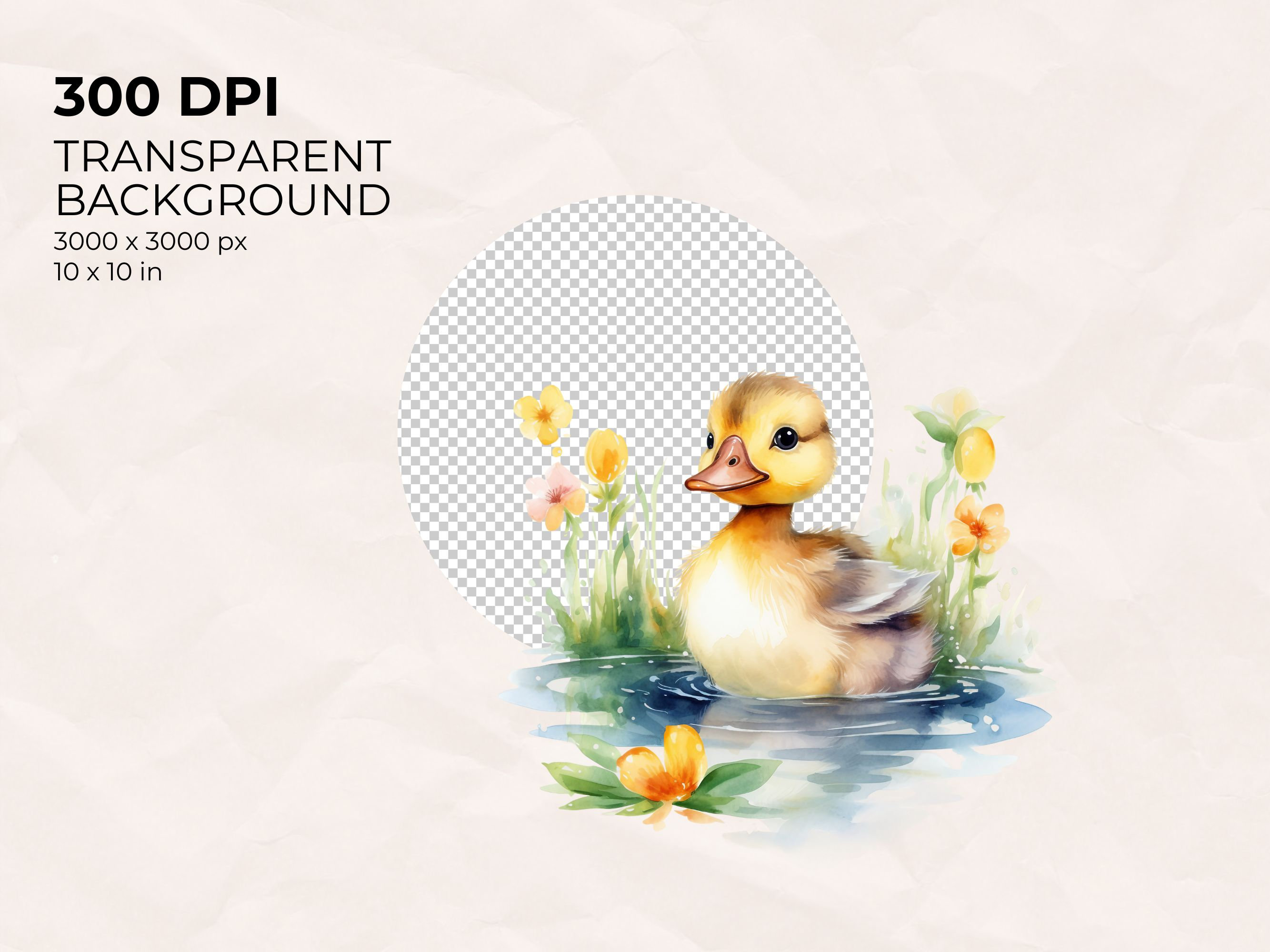 Watercolor Duckling Clipart Bundle Duckling PNG Duckling - Etsy