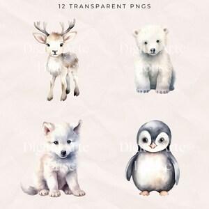 Watercolor Arctic Animals Clipart: Winter Wonderland Graphics ...