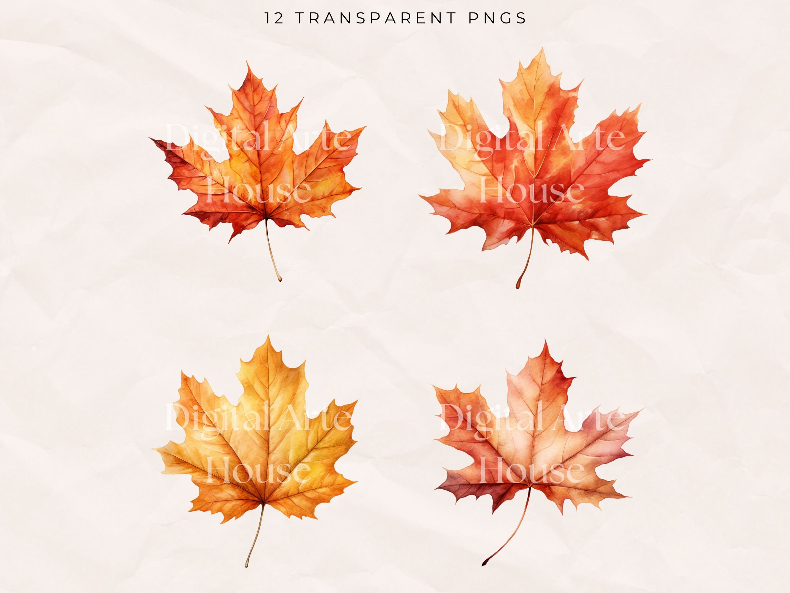 Watercolor Fall Leaves Clipart Bundle Autumn Leaves Clipart - Etsy