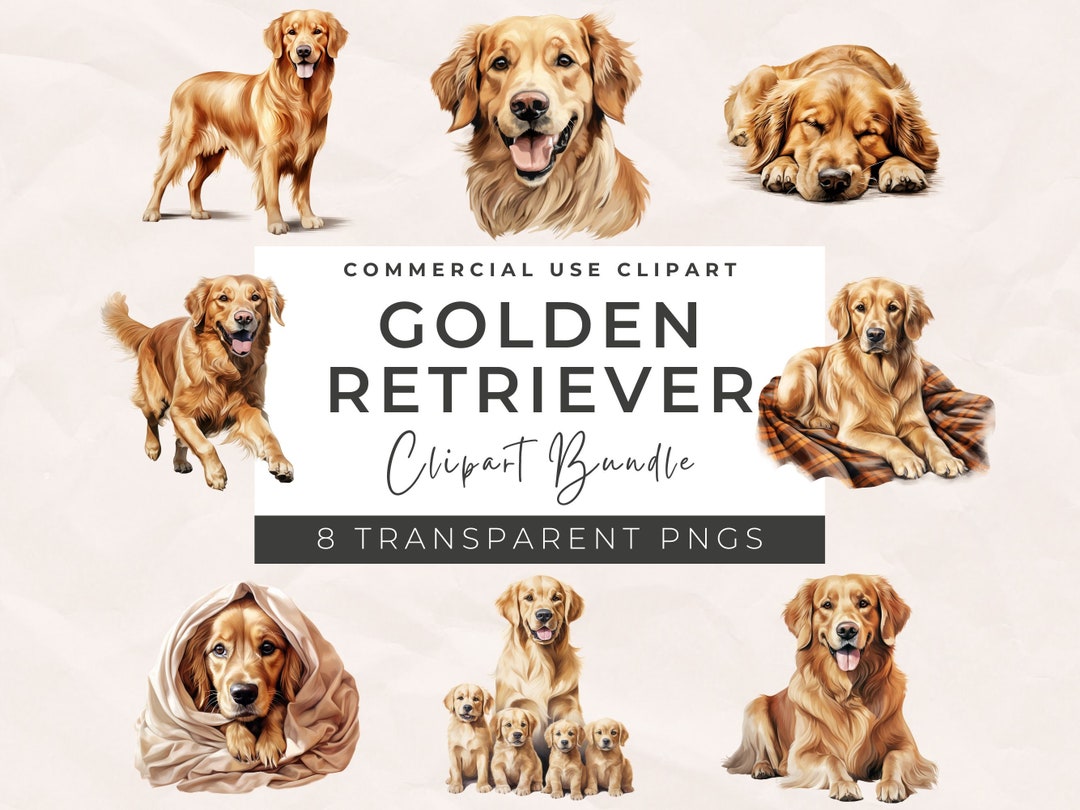 Watercolor Golden Retriever Clipart Bundle (digital Download) - Etsy