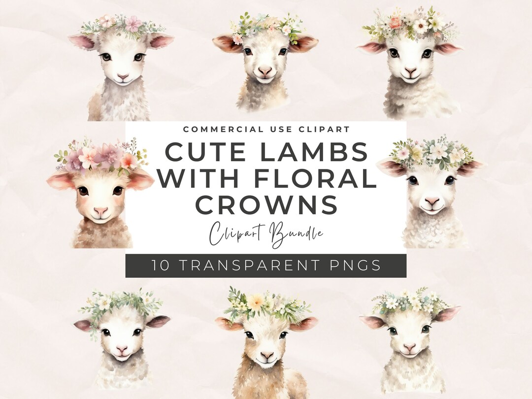 Watercolor Cute Floral Lambs Clipart Bundle - Lamb Clipart, Digital ...