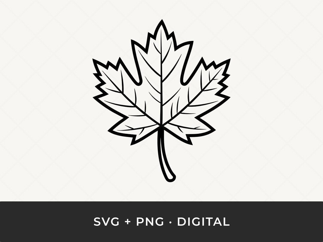 Maple Leaf SVG: Fall Season Clipart, Autumn Outline Cut File for Cricut ...