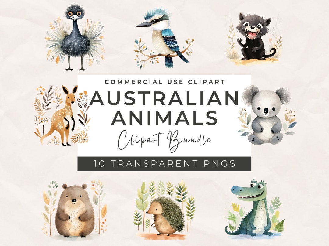 Watercolor Australian Animals Clipart, Baby Clipart, Australian Clipart ...