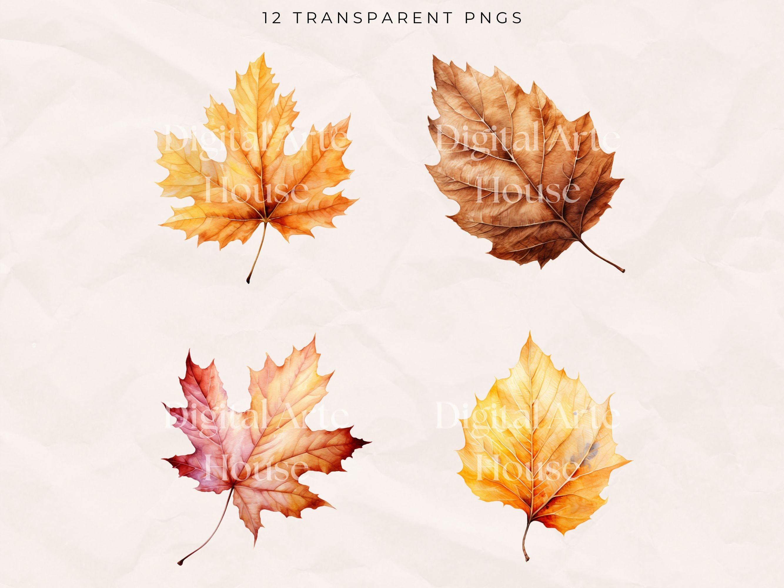 Watercolor Fall Leaves Clipart Bundle Autumn Leaves Clipart - Etsy