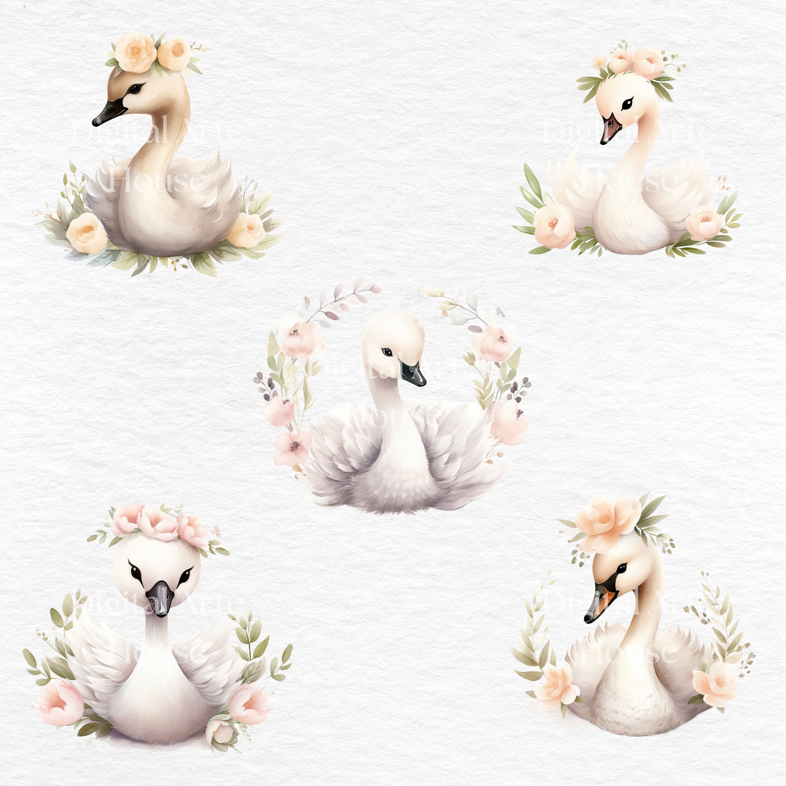 Watercolor Baby Swan Clipart: Floral Swan PNG (commercial Use) - Etsy