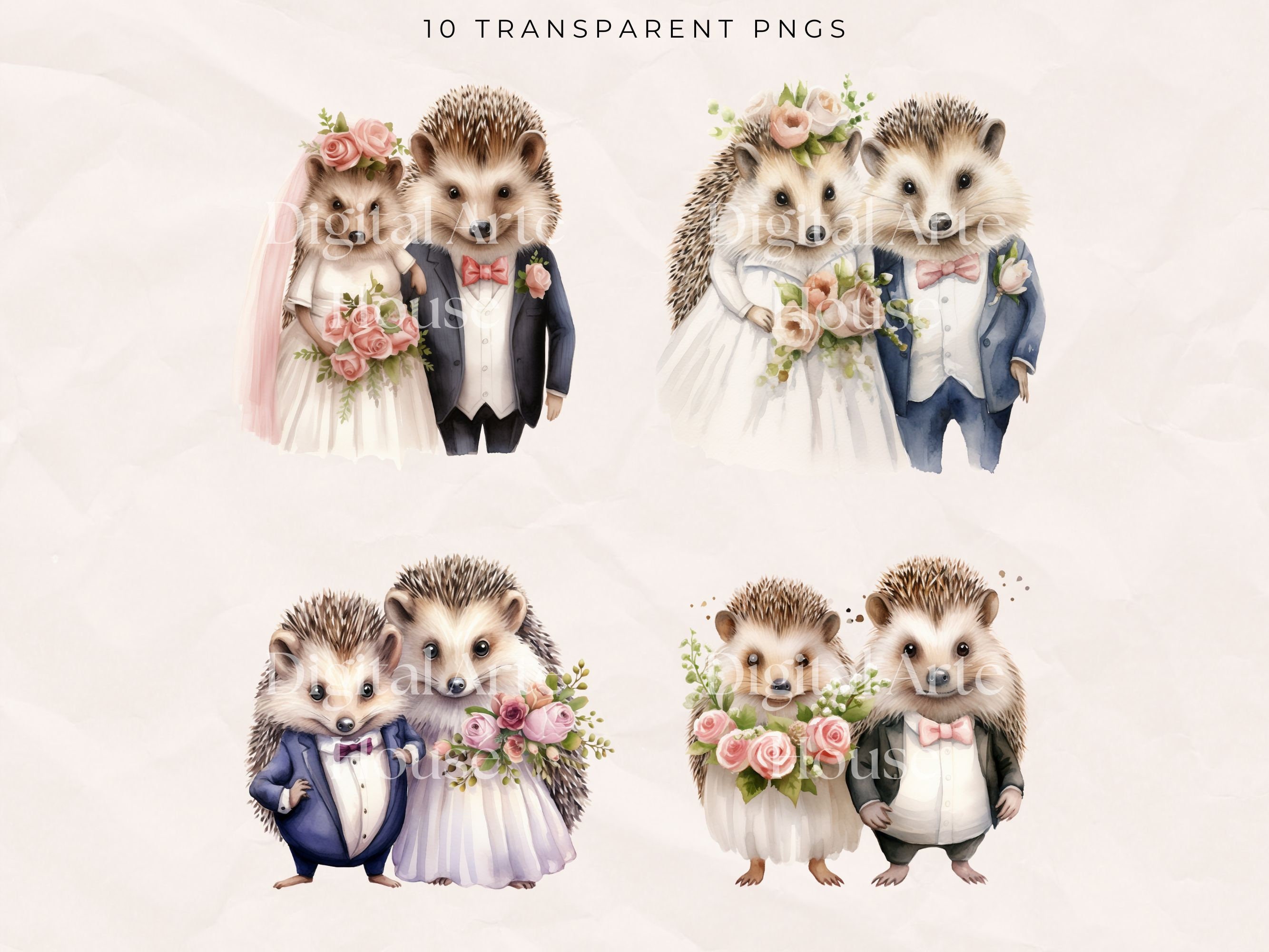 Cute Hedgehog Wedding Clipart Cute Hedgehog PNG High Quality - Etsy