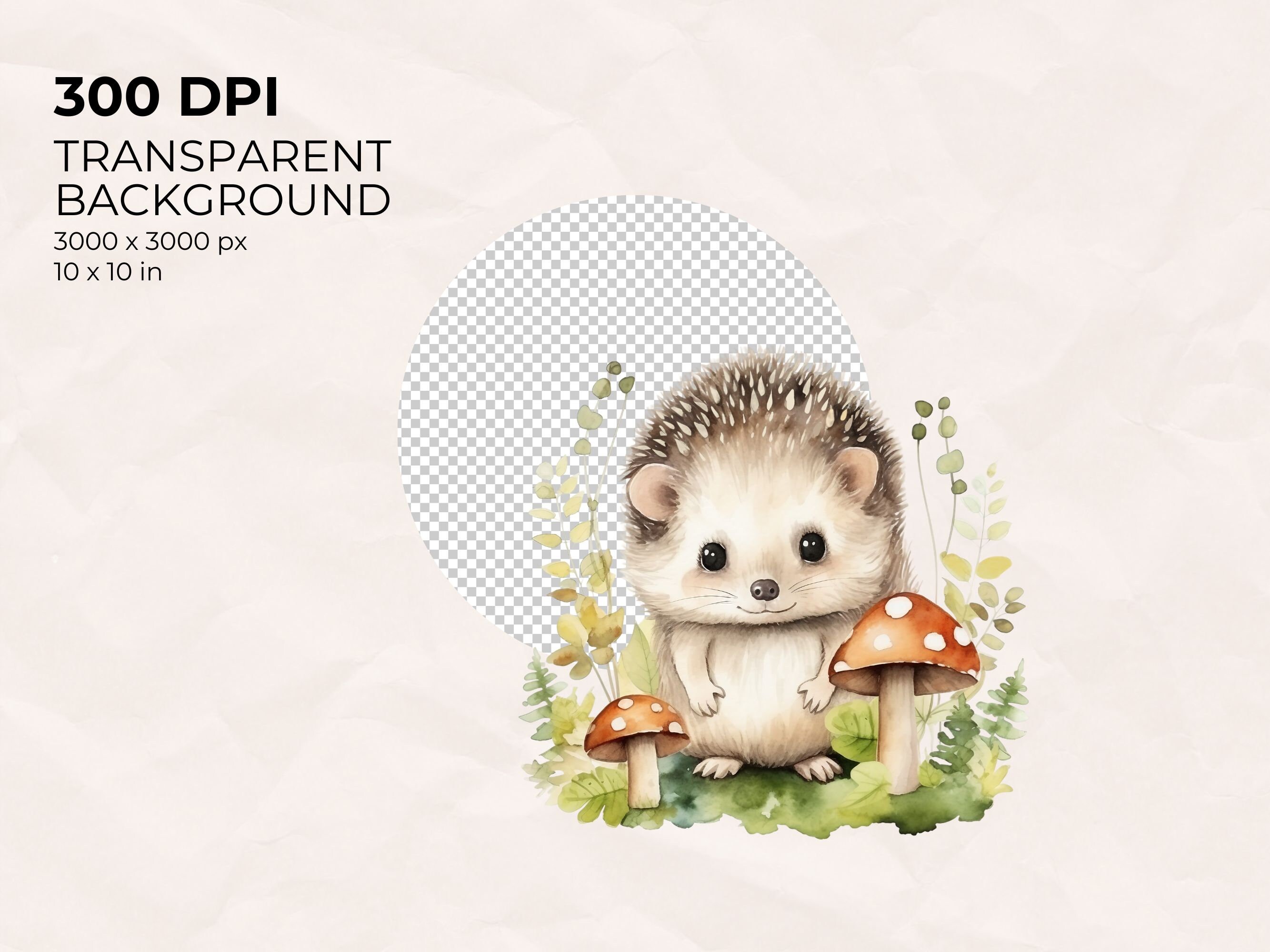 Cute Hedgehog Clipart Watercolor Cute Hedgehog Watercolor - Etsy