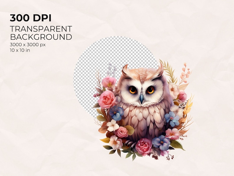 Watercolor Floral Owl Clipart, Cute Clipart for Commercial Use ...