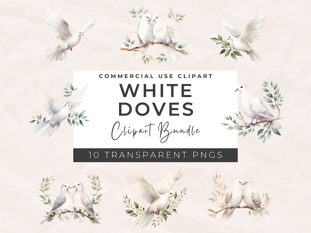 Watercolor White Dove Clipart Bundle - Dove PNG, Dove Clipart, Bird ...