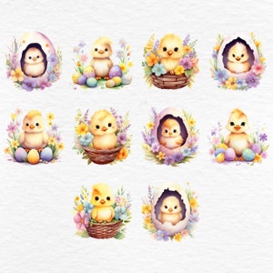 Watercolor Easter Chick Clipart: PNG Graphic Set (commercial Use) - Etsy