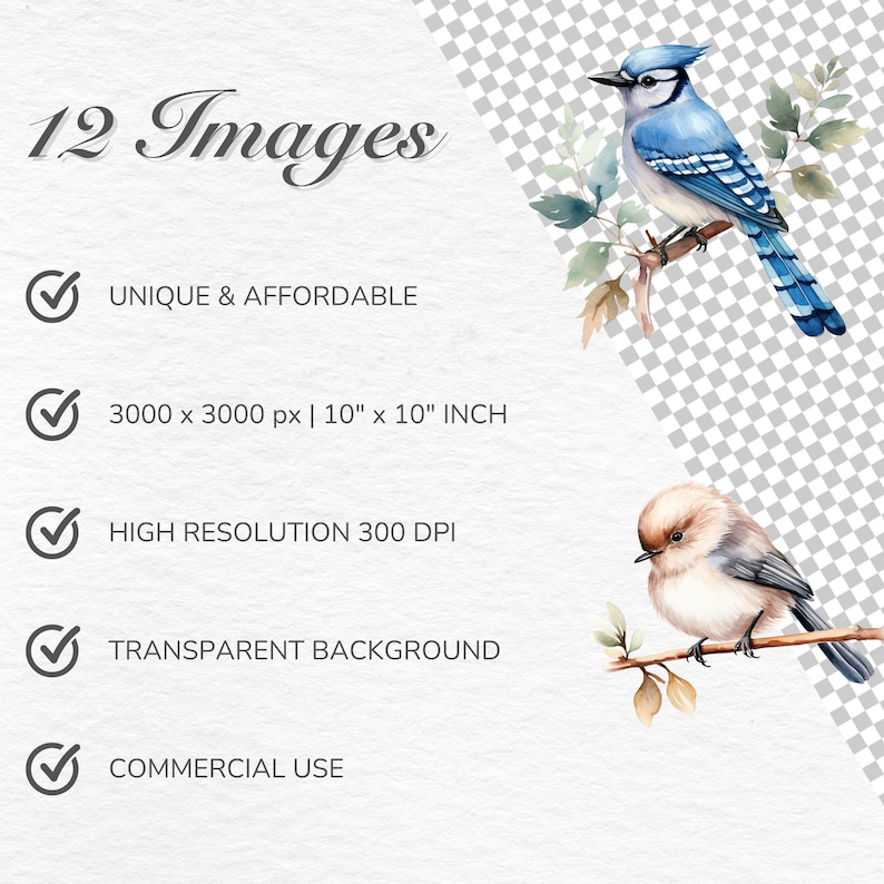 Watercolor Birds Clipart Bundle – Cute Bird Illustrations (commercial ...