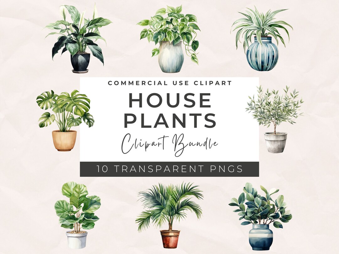 Watercolor House Plants Clipart - Watercolor Greenery and Foliage ...