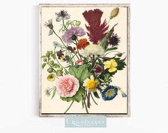 Vintage Botanical Illustration Floral Digital Download Antique Flower ...