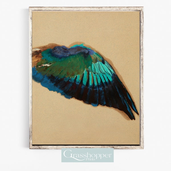 Feather Study - Etsy