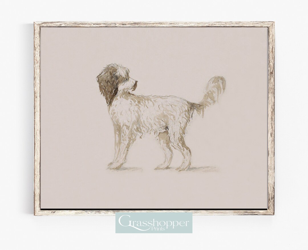 Vintage Dog Illustration, Antique Animal Sketch, Cute Dog Drawing ...
